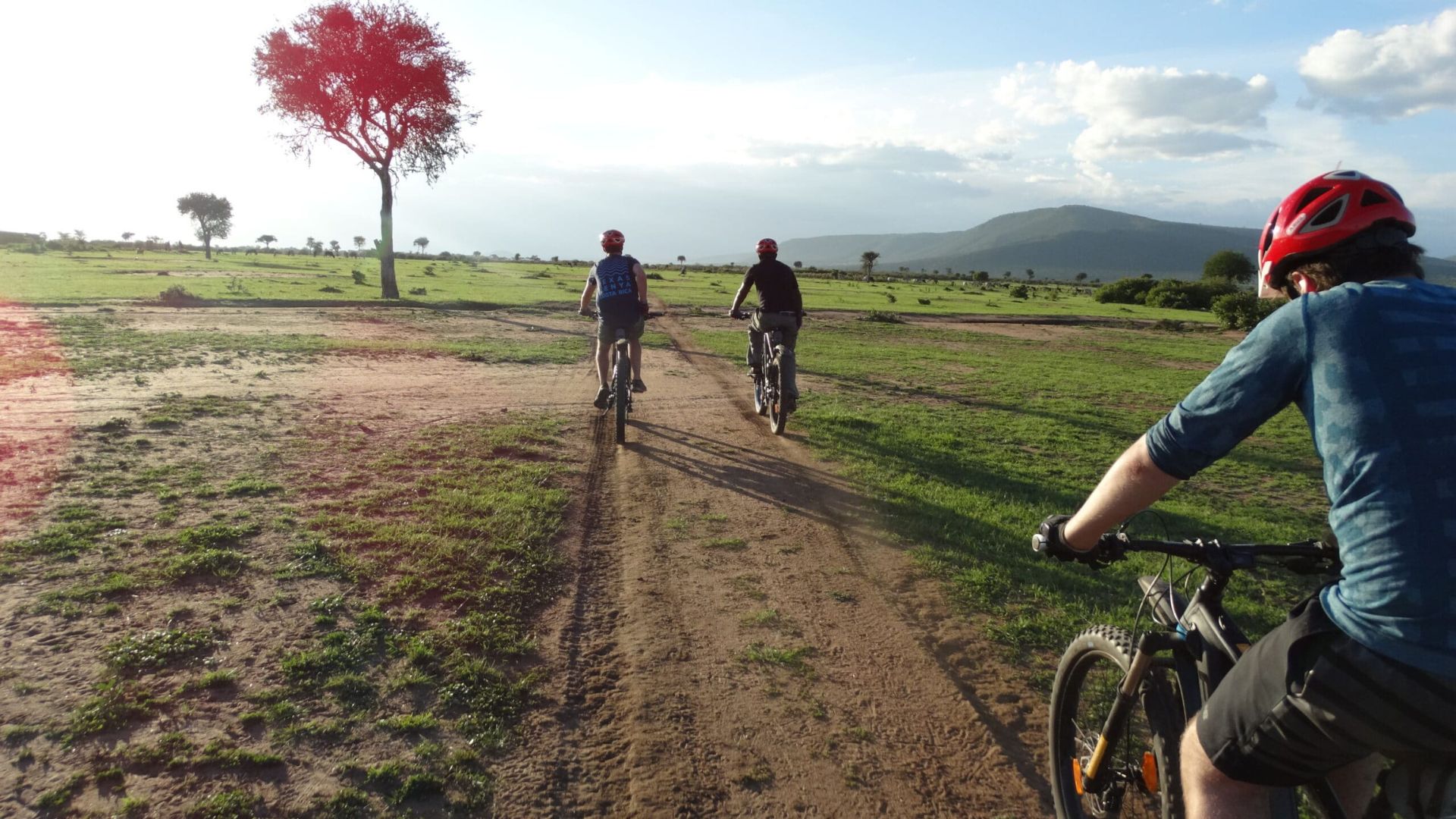 Revolutionizing Green Mobility: Solar Electric Bikes - Meeco